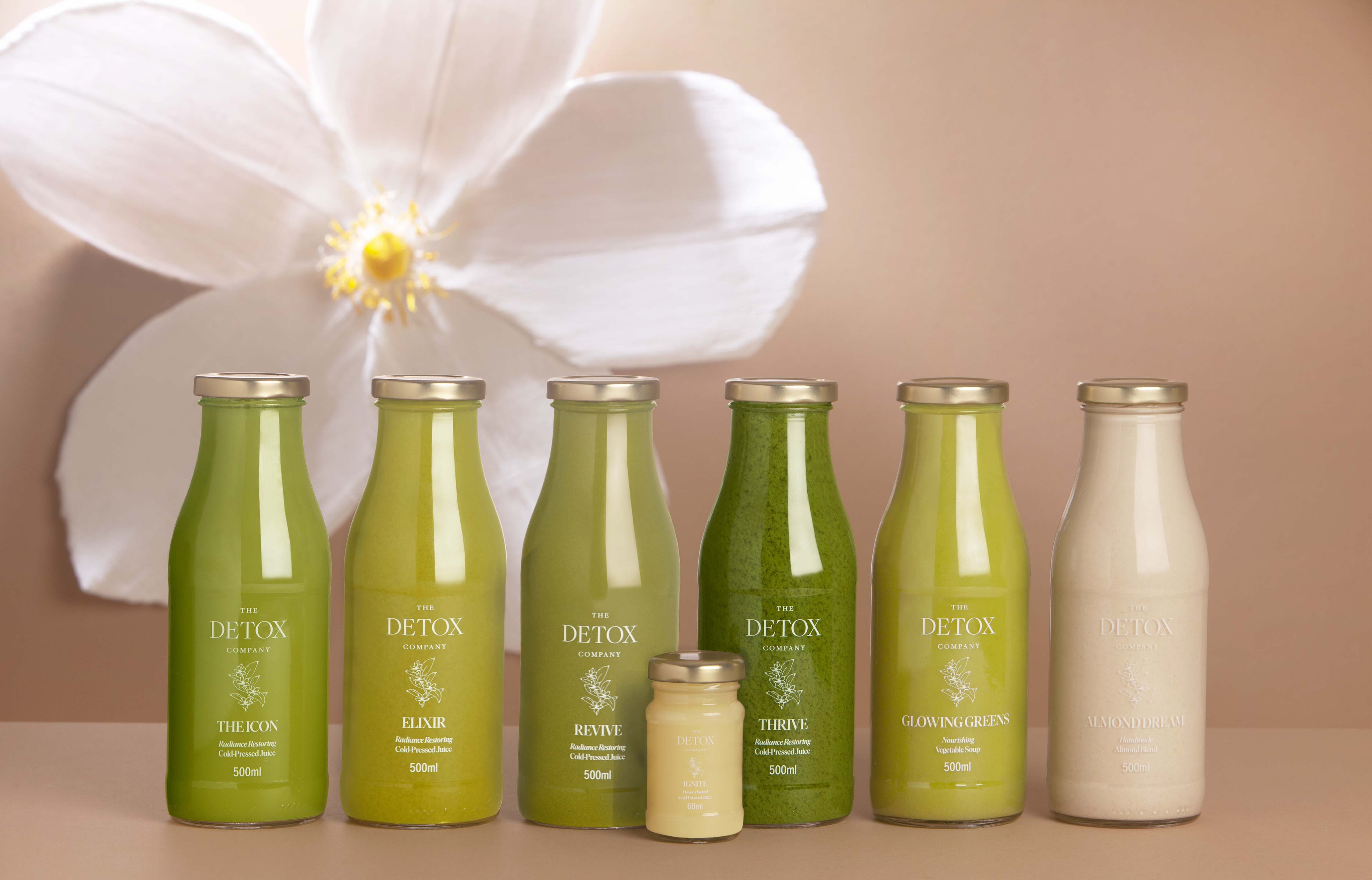 Reset Cleanse – The Detox Company